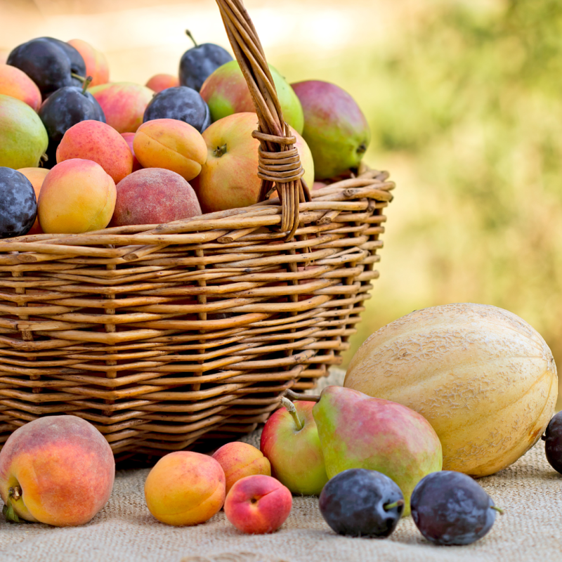 Evolución del Menú: Desde sus Orígenes Históricos hasta la planeación ...